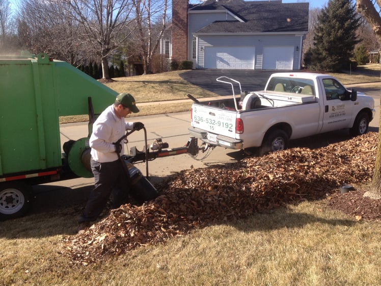 St. Louis County Leaf Cleanup & Removal Options